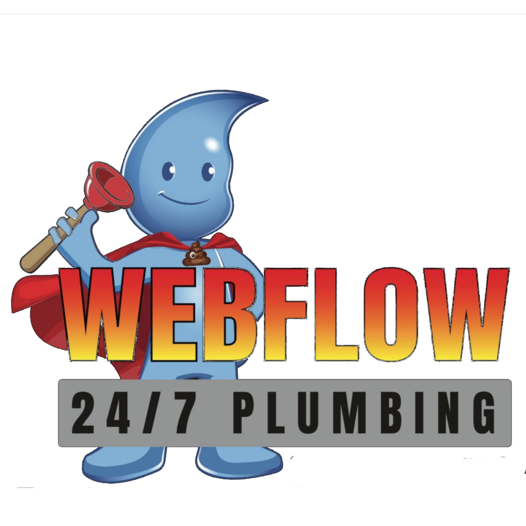 Advice - Webflow Plumbing